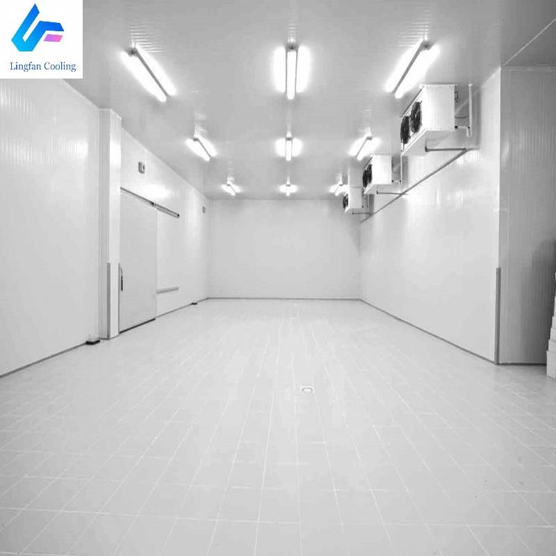 Cold Room for Industrial Use High Quality Large Capacity Storage